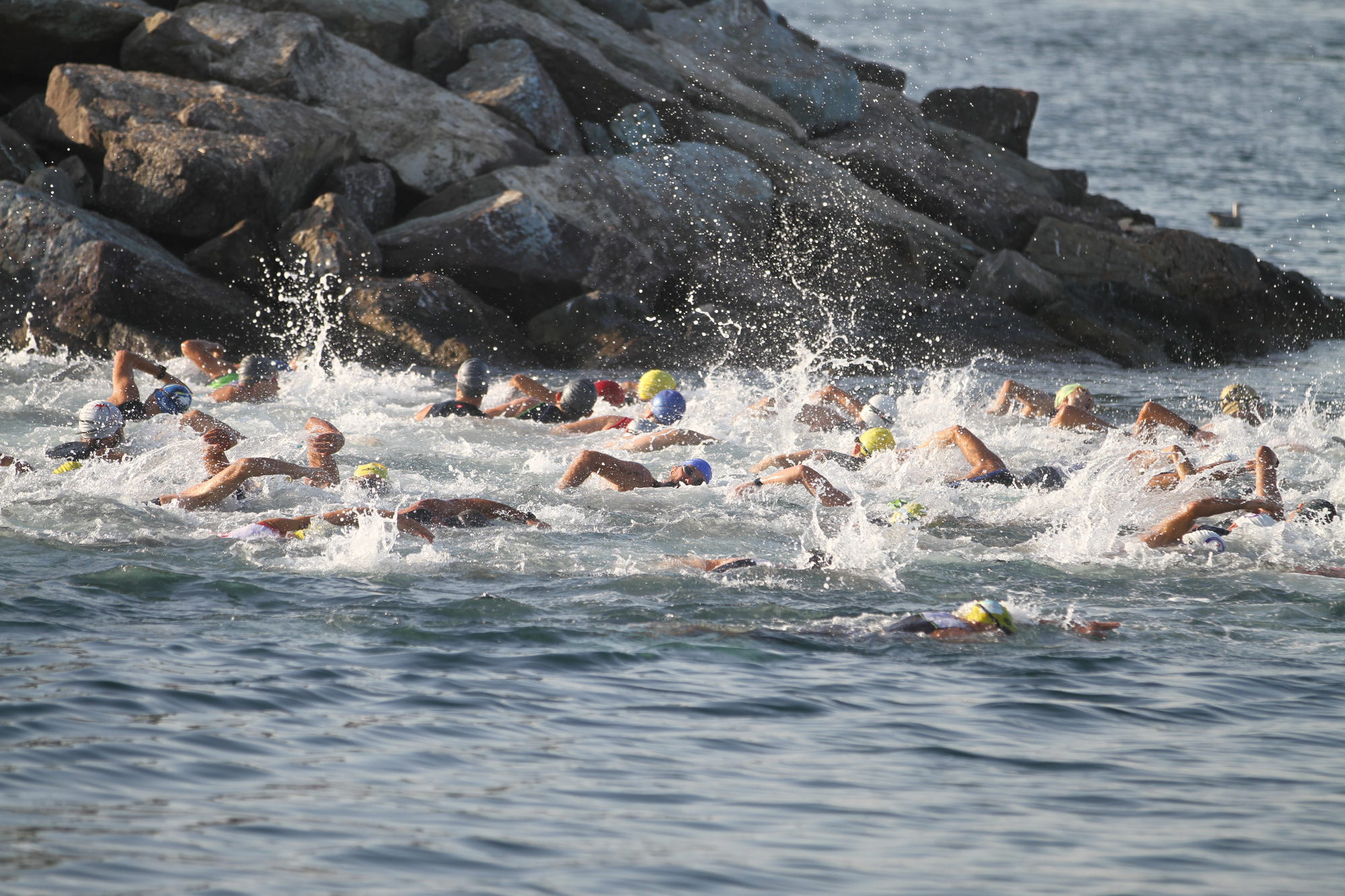 Is There Such Thing as a Swimming Marathon? Unveiling the Marathon Swim ...