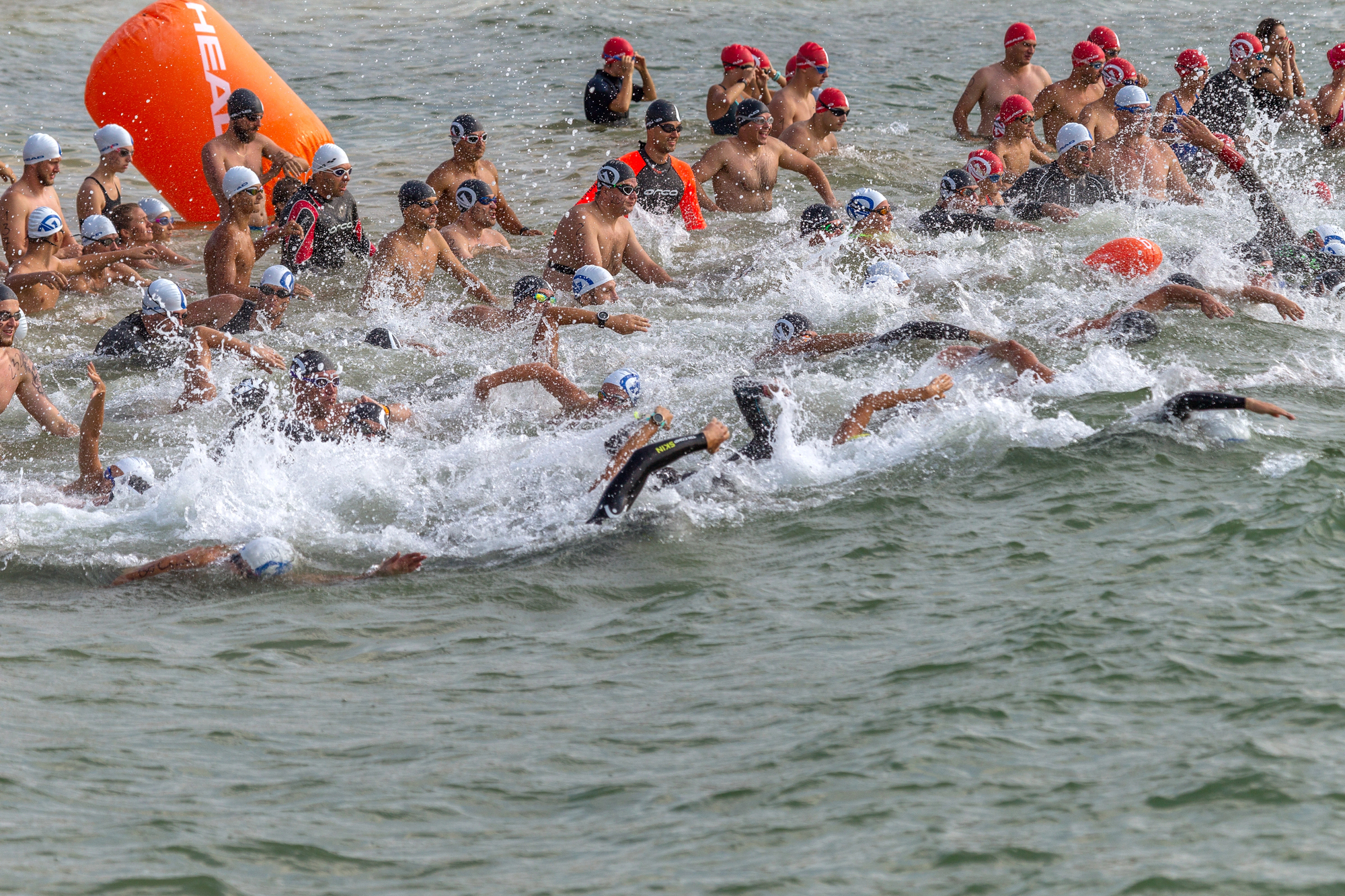 Is There Such Thing as a Swimming Marathon? Unveiling the Marathon Swim ...